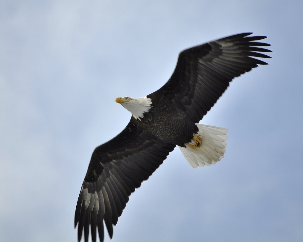 Fantasy Triathlon Predictions + Analysis: IM 70.3 Boulder, IM 70.3 ...